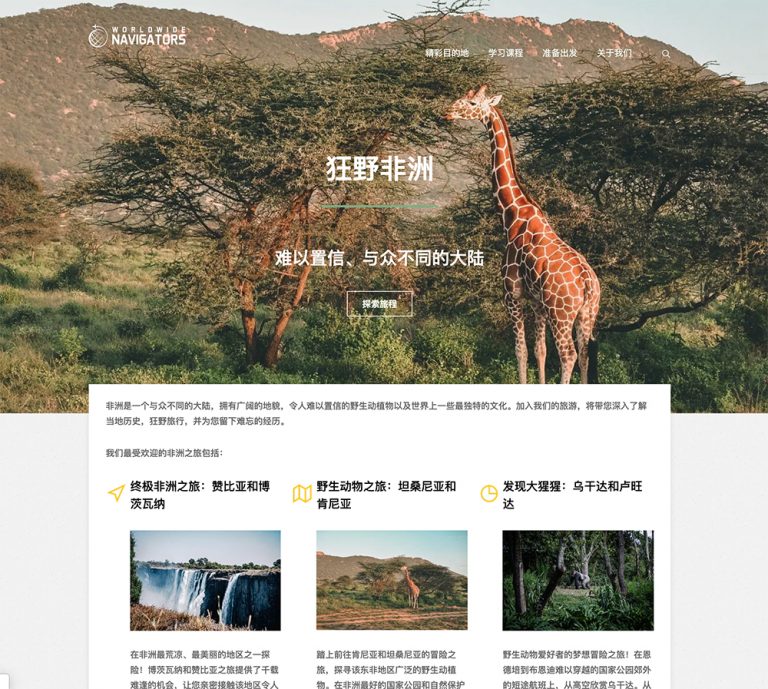 Chinese Website Design Company - SINOSTEP
